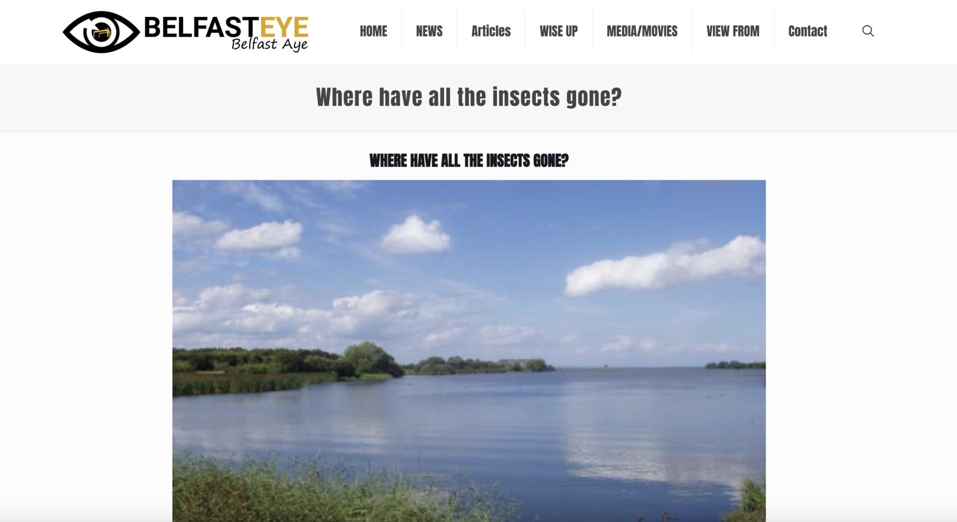 Where have all the insects gone? – Belfast Eye